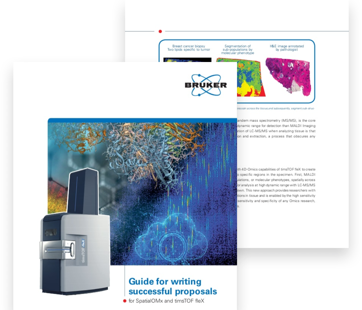 advanced-tissue-analysis-with-spatialomx-a-guide-for-writing